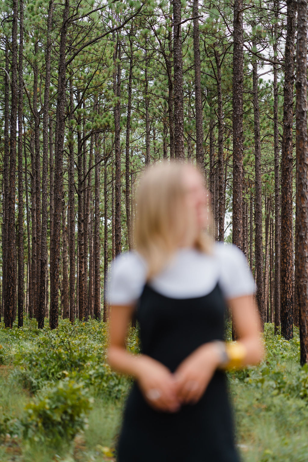 Top 3 Photoshoot Locations In Southern Pines- Sara Coffin Photo